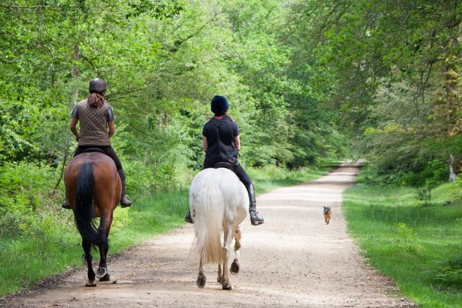 Highland Horse Fun | Family Pony Trekking since 1952 | Home