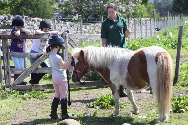 Ponys | Highland Horse Fun Pony Trekking since 1952